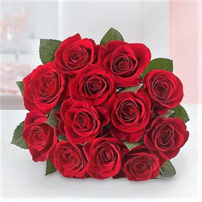 Send Dozen Red Roses - Canada Online - CAN23-112056 | Giftalove