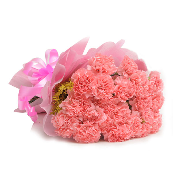 Send 15 Pink Carnations Online - F17-EXDFNP567GAL17 | Giftalove