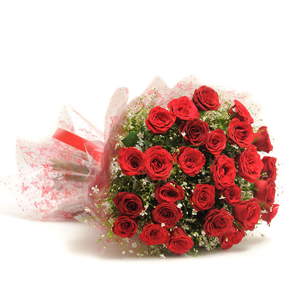 Send Pure Love Roses Online - MN-EXDFNP416DW16 | Giftalove