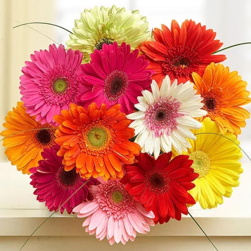 Send Online Flowers to USA | Online Flower Delivery in USA - GiftaLove