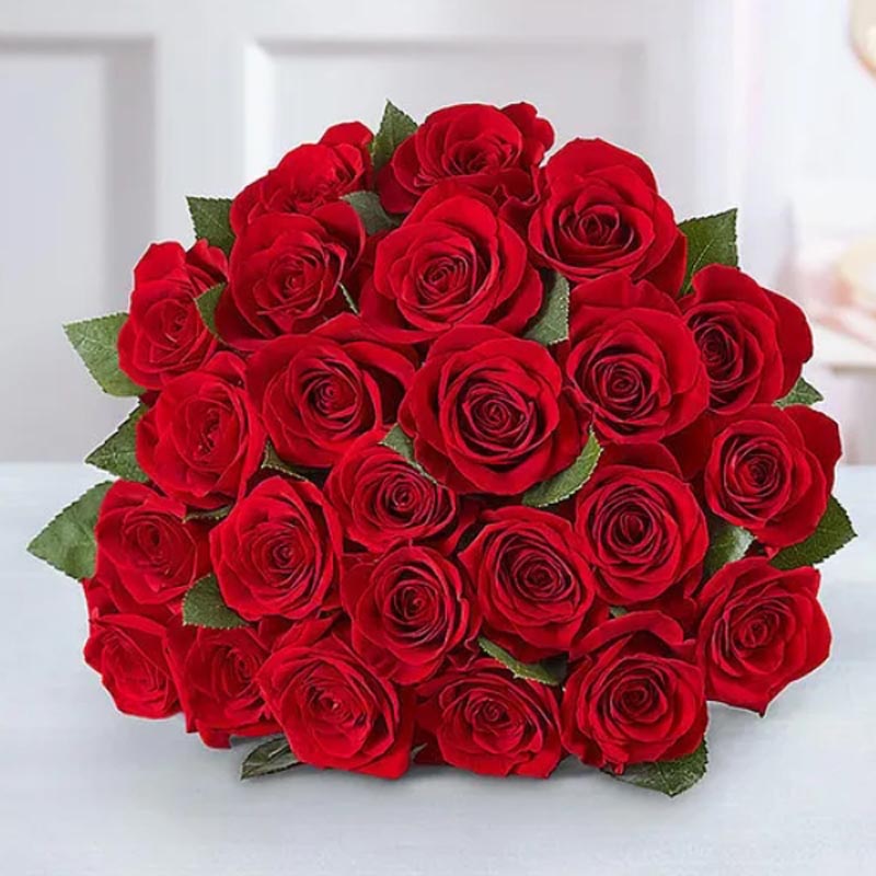Send Gifts Online USA - 24 Red roses Online - GAL23-111906 | Giftalove