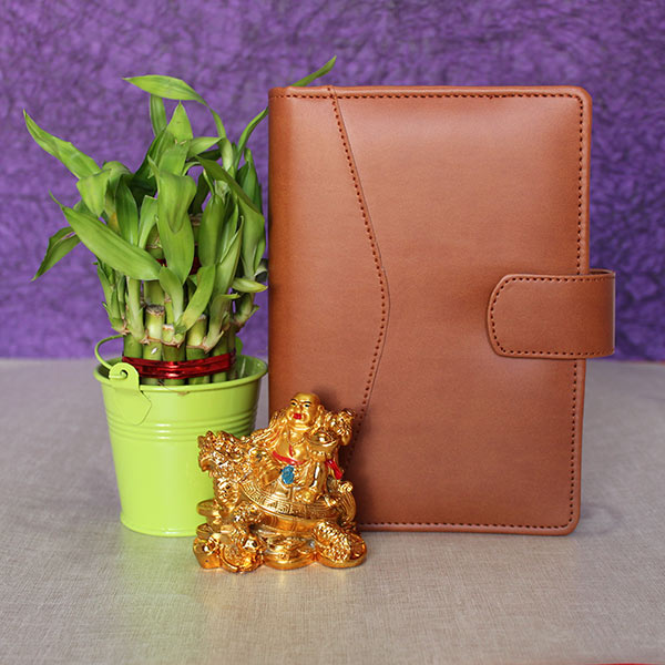 Special Offers on All Types of Gifts