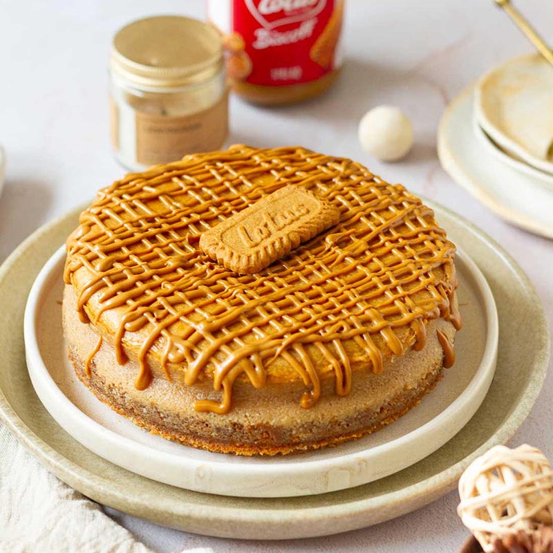 Send 500 gm Lotus Cheesecake Online - GAL24-113268 | Giftalove