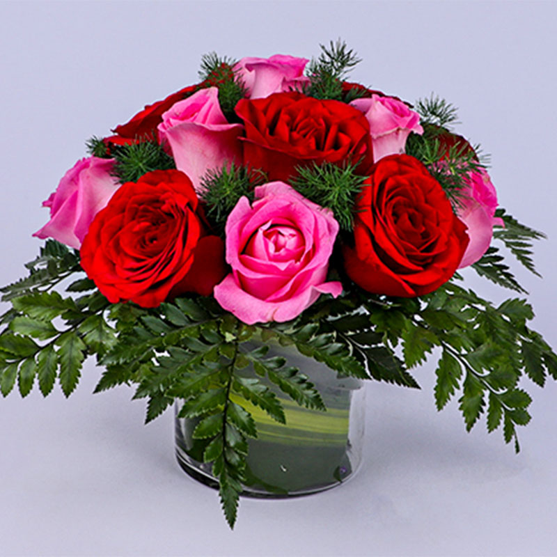 Send Red N Pink Roses in Glass Vase Arrangement Online - GLGAL23-110094 ...