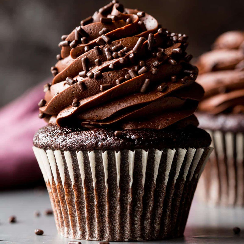 Send Sumptuous Chocolate Cupcake Online - GAL22-109729 | Giftalove
